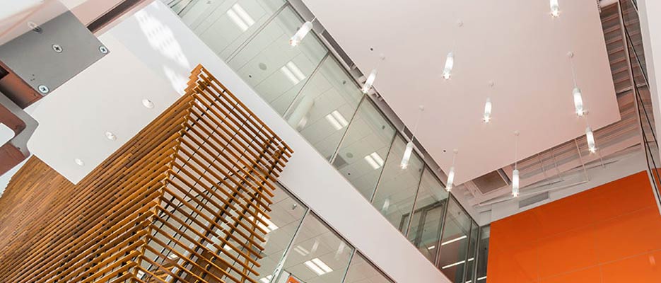 School design inspirations featuring steel building systems